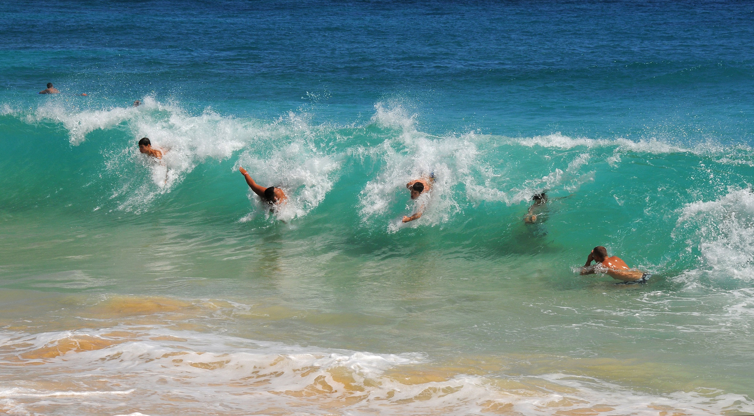 La vague de bord (shorebreak)