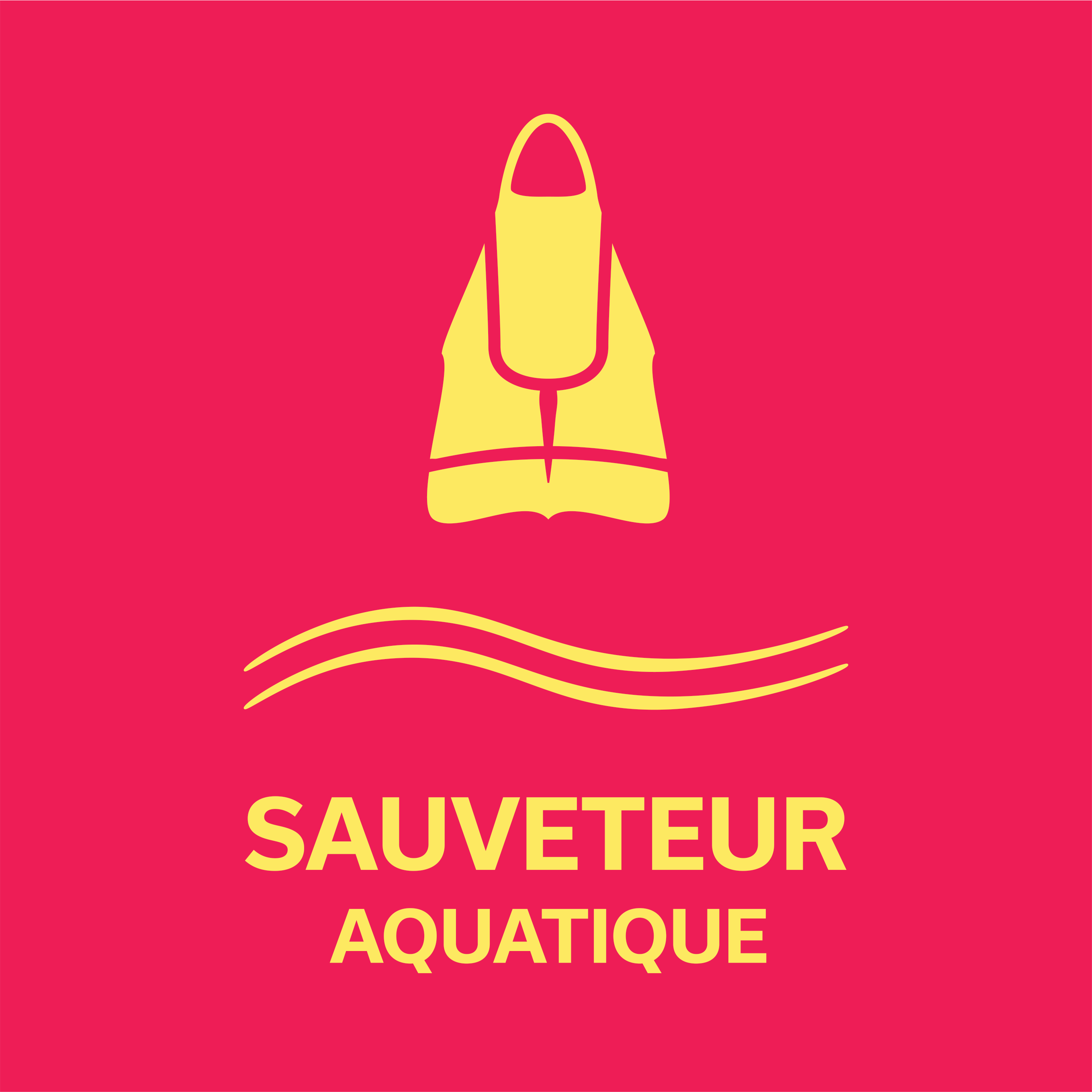 Deviens sauveteur avec Aqualove Sauvetage